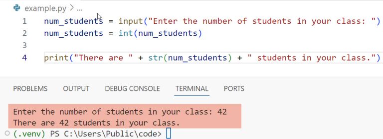 How To Use The Input() Function In Python?