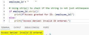 How to Check if a Variable is Not Empty in Python